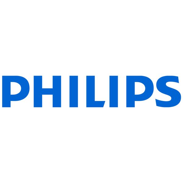 10 Lâmpada Philips Sinalização Convencional RY10W 12V 10W 12093NACP ...